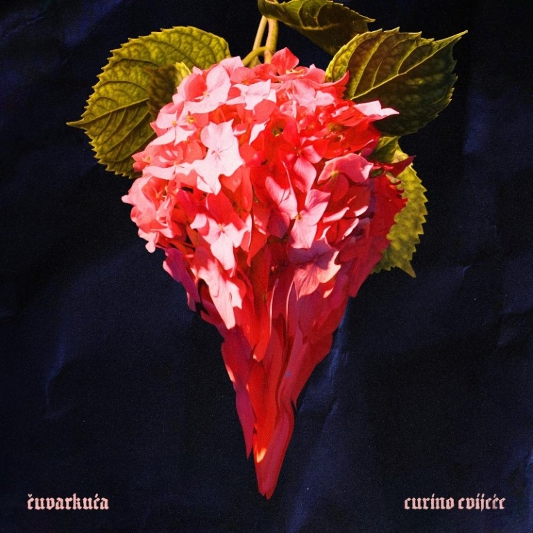 Čuvarkuća objavljuje prvi album ‘Curino cvijeće’ - ravnododna