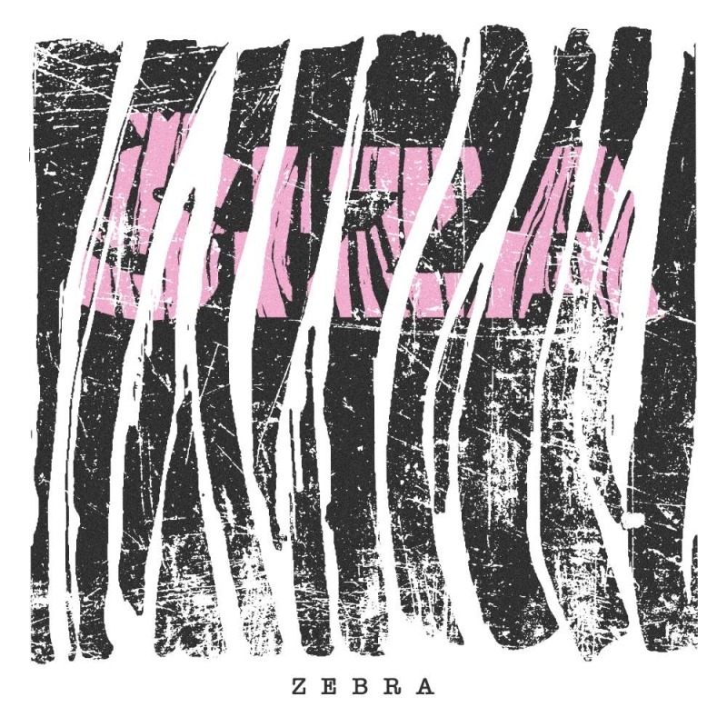 Šiza singlom ‘Reflektori od Sunca’ predstavlja novi album ‘Zebra ...